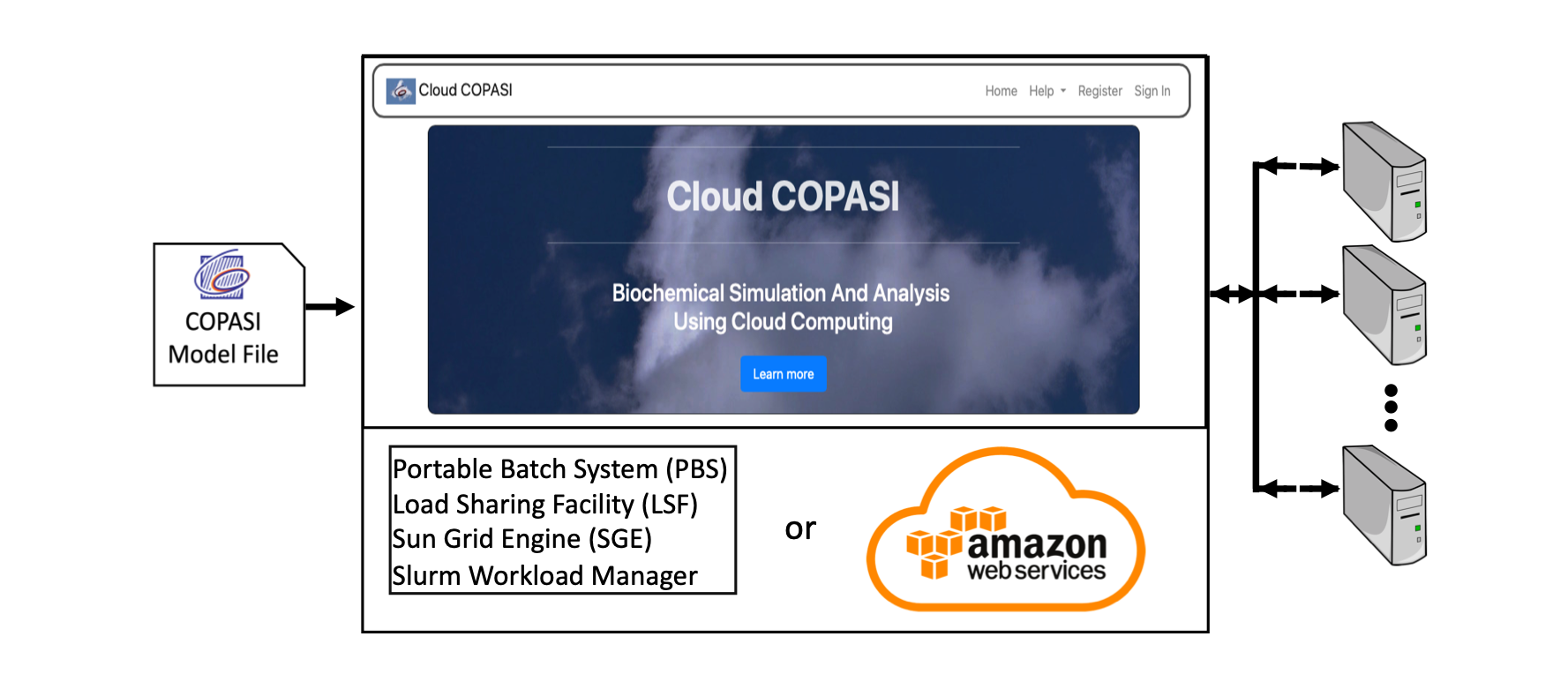 Cloud COPASI | Hasan Baig