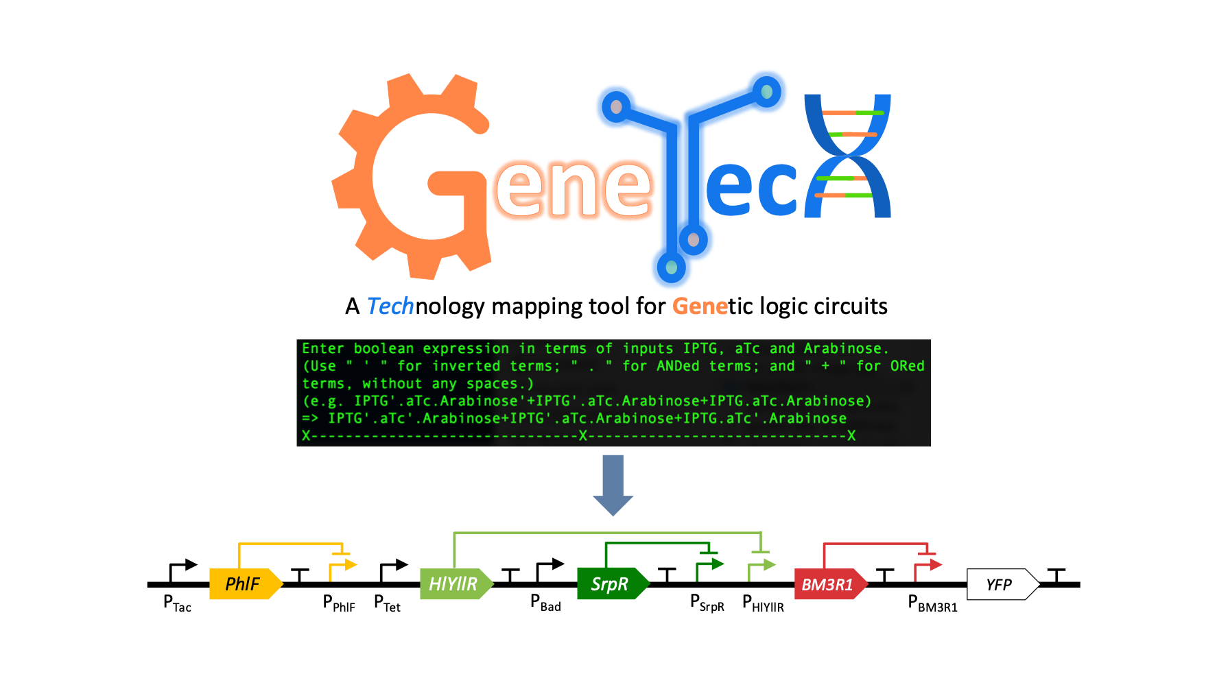 GeneTech | Hasan Baig